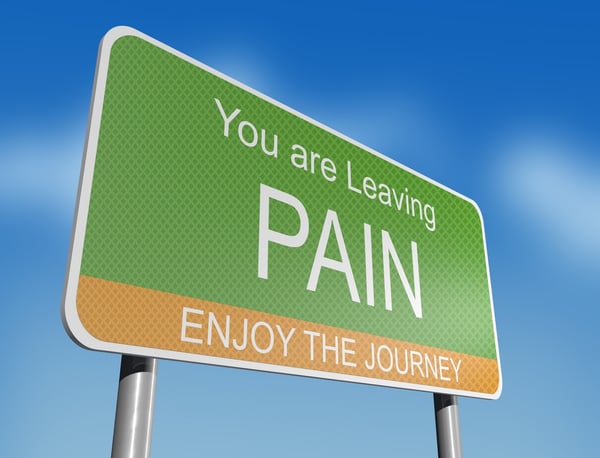 The Brain and Gut Role in Chronic Pain Relief