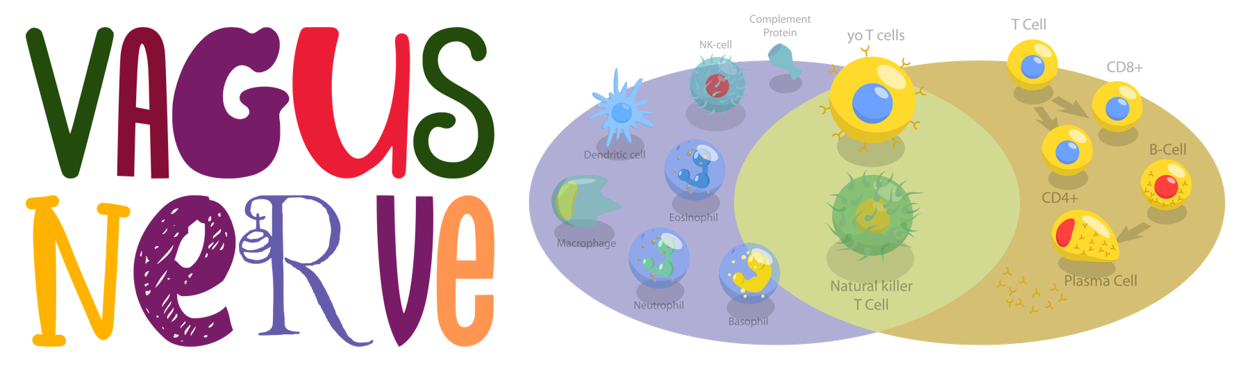 Activate Your Vagus Nerve to Improve Immune Function and Health