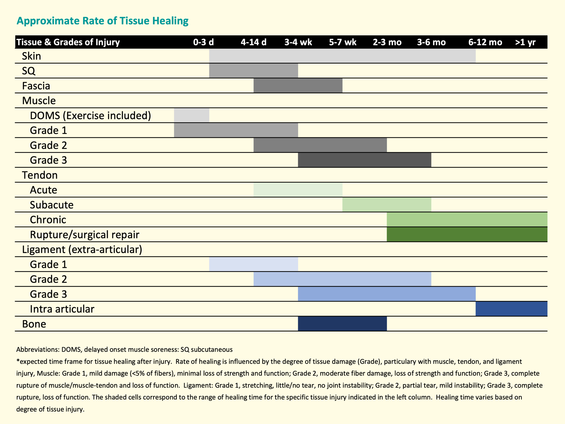 Understanding the Stages of Soft Tissue Healing to Optimize Your Recovery